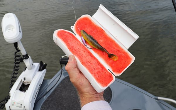 Stink Finger - Stink Finger - Lako Fishing Products Pty Ltd